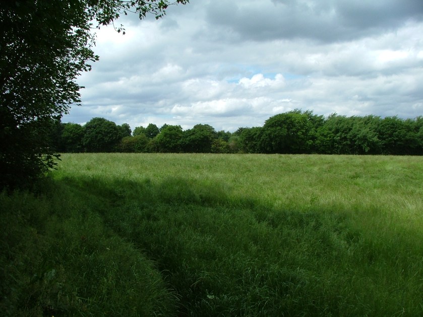 Culcheth Linear Park – mywarrington