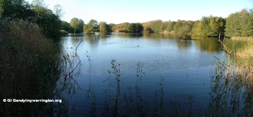 Moore Nature Reserve – mywarrington
