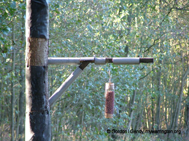 Moore Nature Reserve – mywarrington