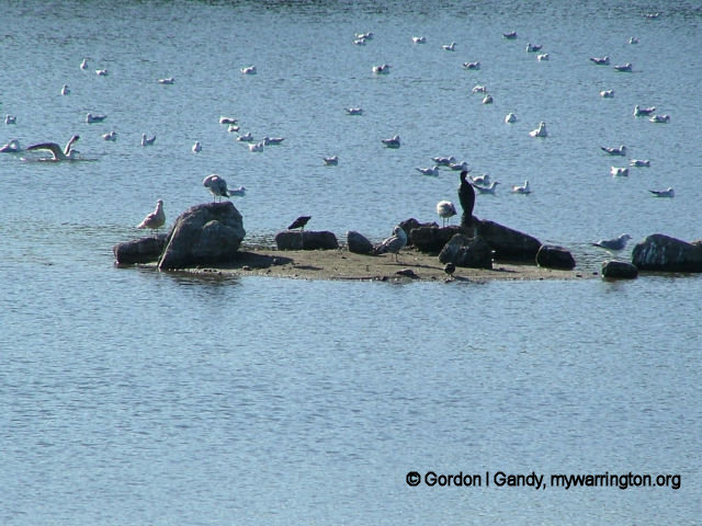 Moore Nature Reserve – mywarrington