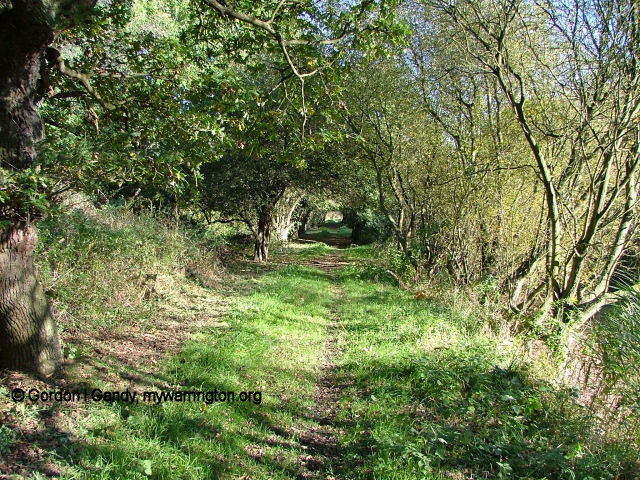 Moore Nature Reserve – mywarrington