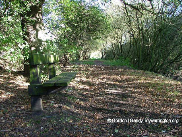 Moore Nature Reserve – mywarrington