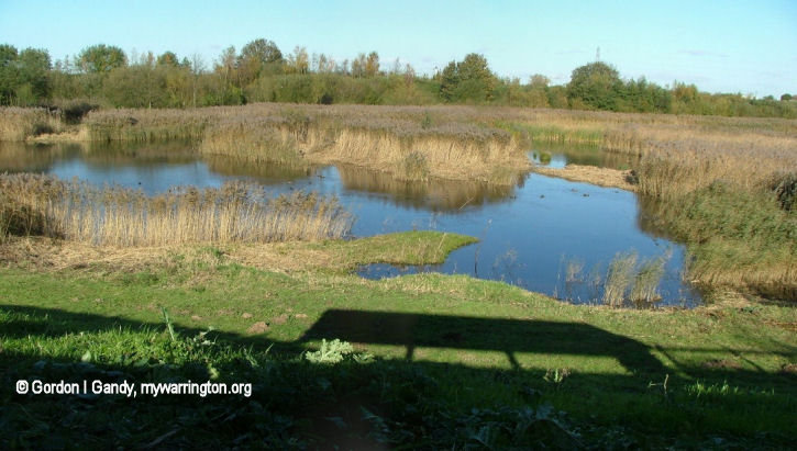 Moore Nature Reserve – mywarrington