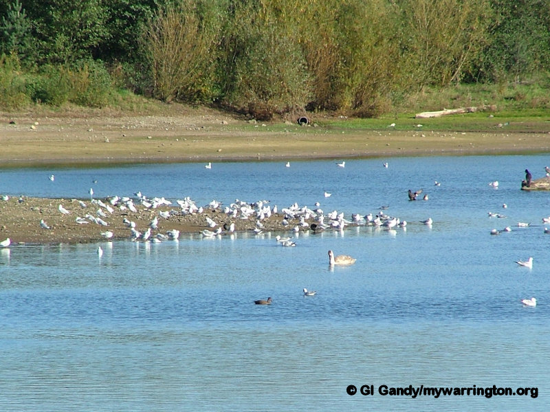 Moore Nature Reserve – mywarrington