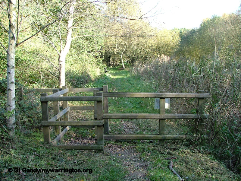 Moore Nature Reserve – mywarrington