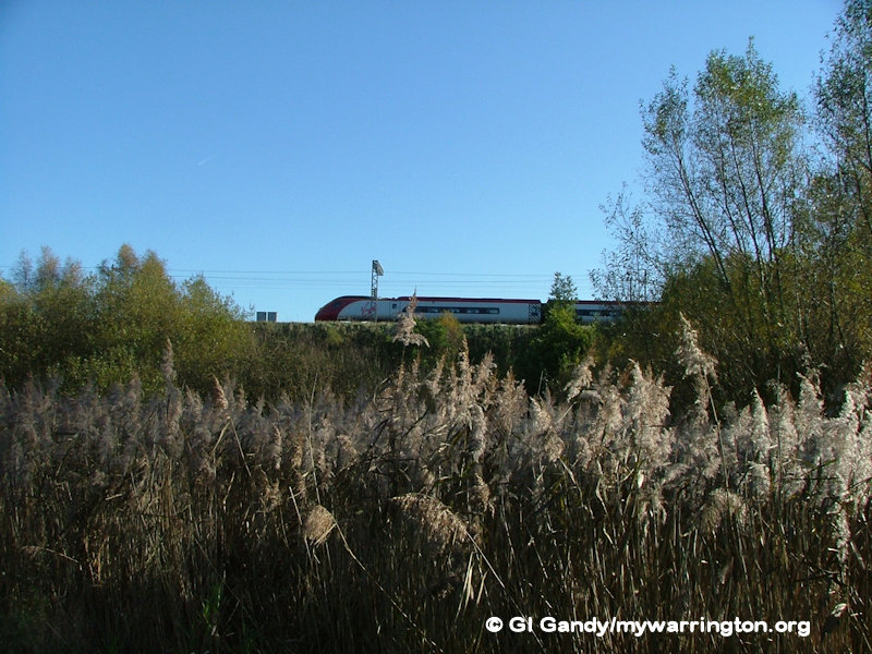 Moore Nature Reserve – mywarrington