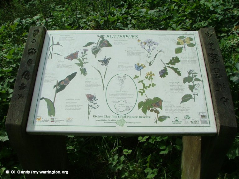 Rixton Claypits Local Nature Reserve – mywarrington