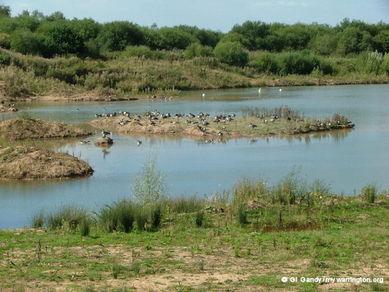 Rixton Claypits Local Nature Reserve – mywarrington