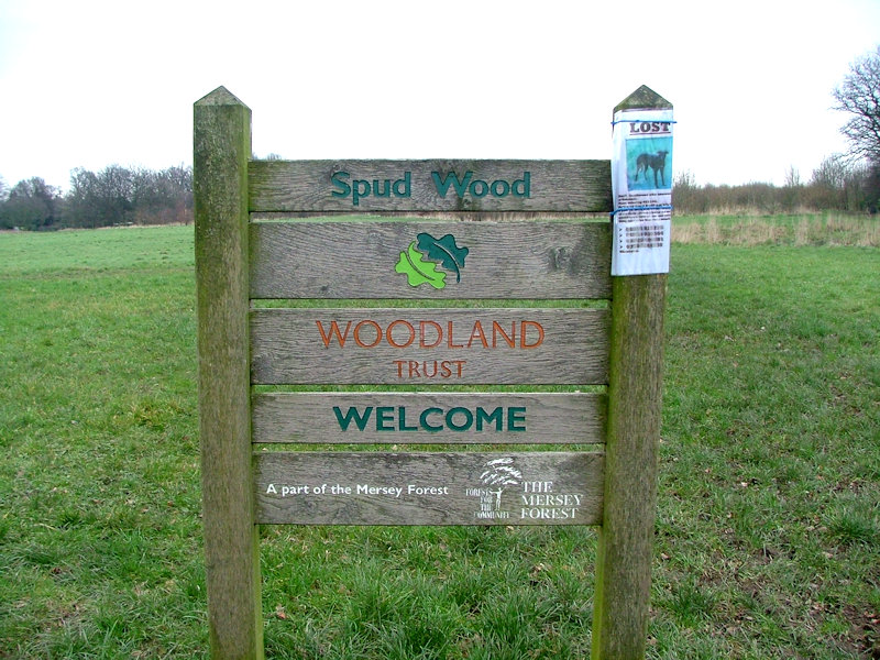 Spud Wood – mywarrington