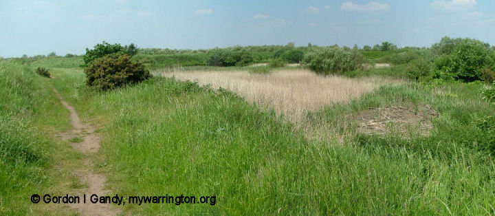 Woolston Eyes – mywarrington