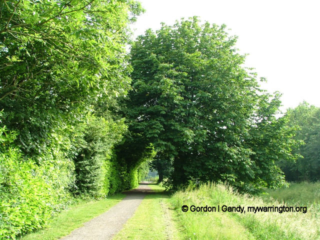 Woolston Park – mywarrington