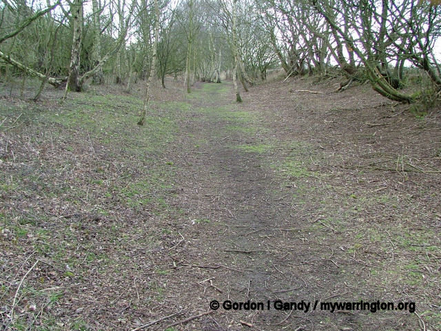 Runcorn to Latchford Canal (1804) – mywarrington